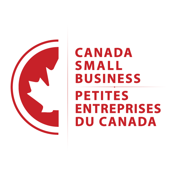 Springbok Clavicle Brace Support, Adjustable Shoulder Posture Correcto ...